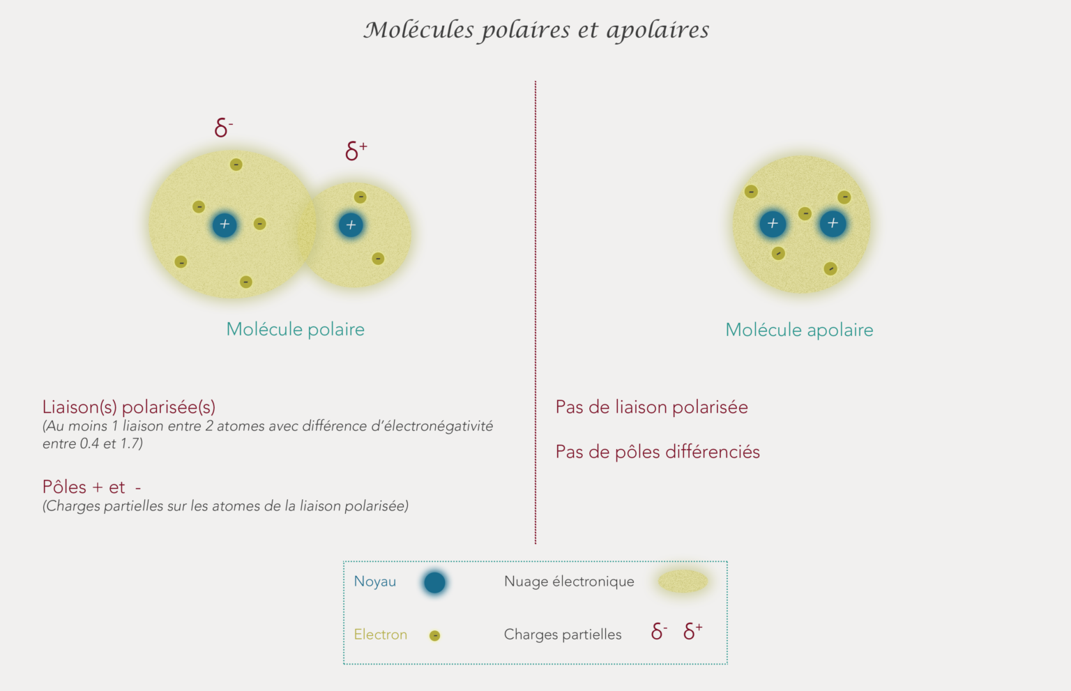 Les molécules - Fantabio