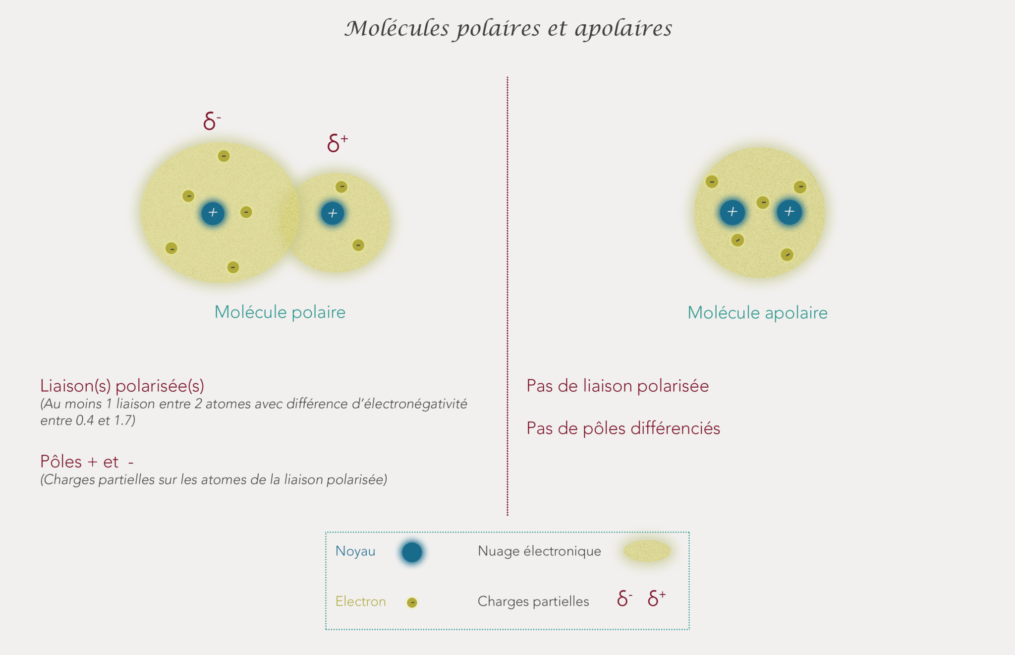 Les molécules - Fantabio